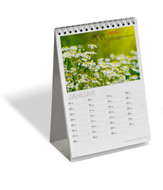 Bestellung Kalender 2013 bei Matricks Marketing GmbH